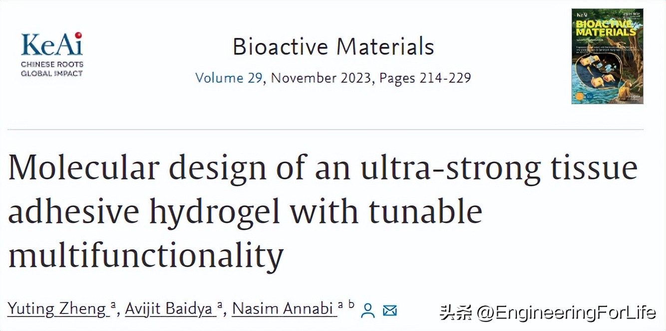 Molecular design of supertissue-adhesive hydrogels with tunable ...