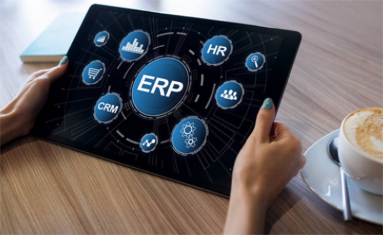 What are the difficulties in implementing ERP systems in machinery ...