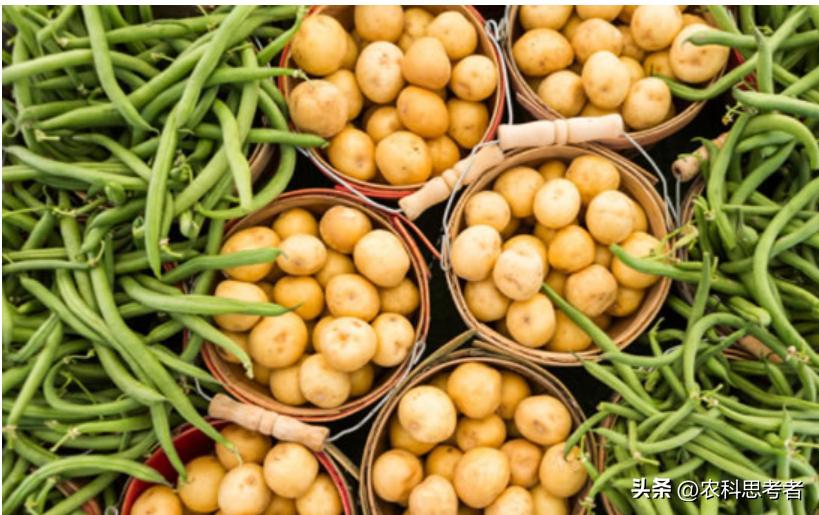 Organic produce, is it really "organic"? One article takes you to ...