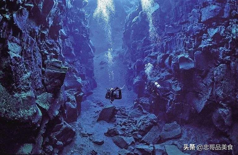 The world's deepest trench: Mariana Trench, strange underwater ...