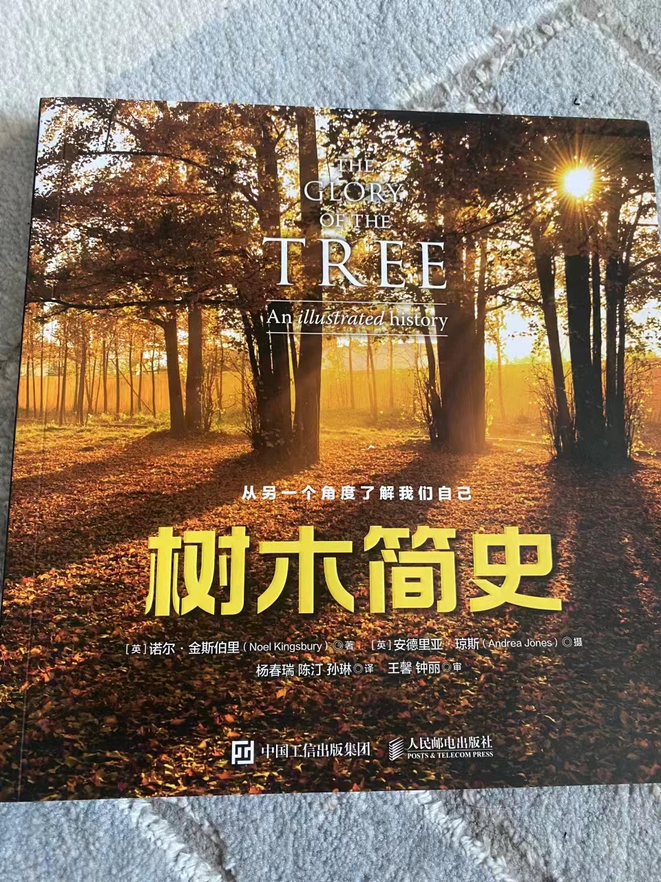 "A Brief History of Trees": The Stories of the Woods We Don't Know - iNEWS