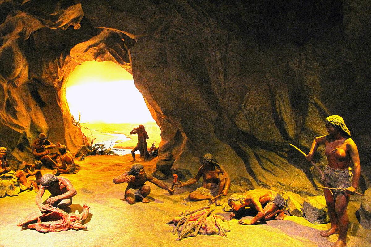 The origin of human beings, the development of ancient civilizations ...