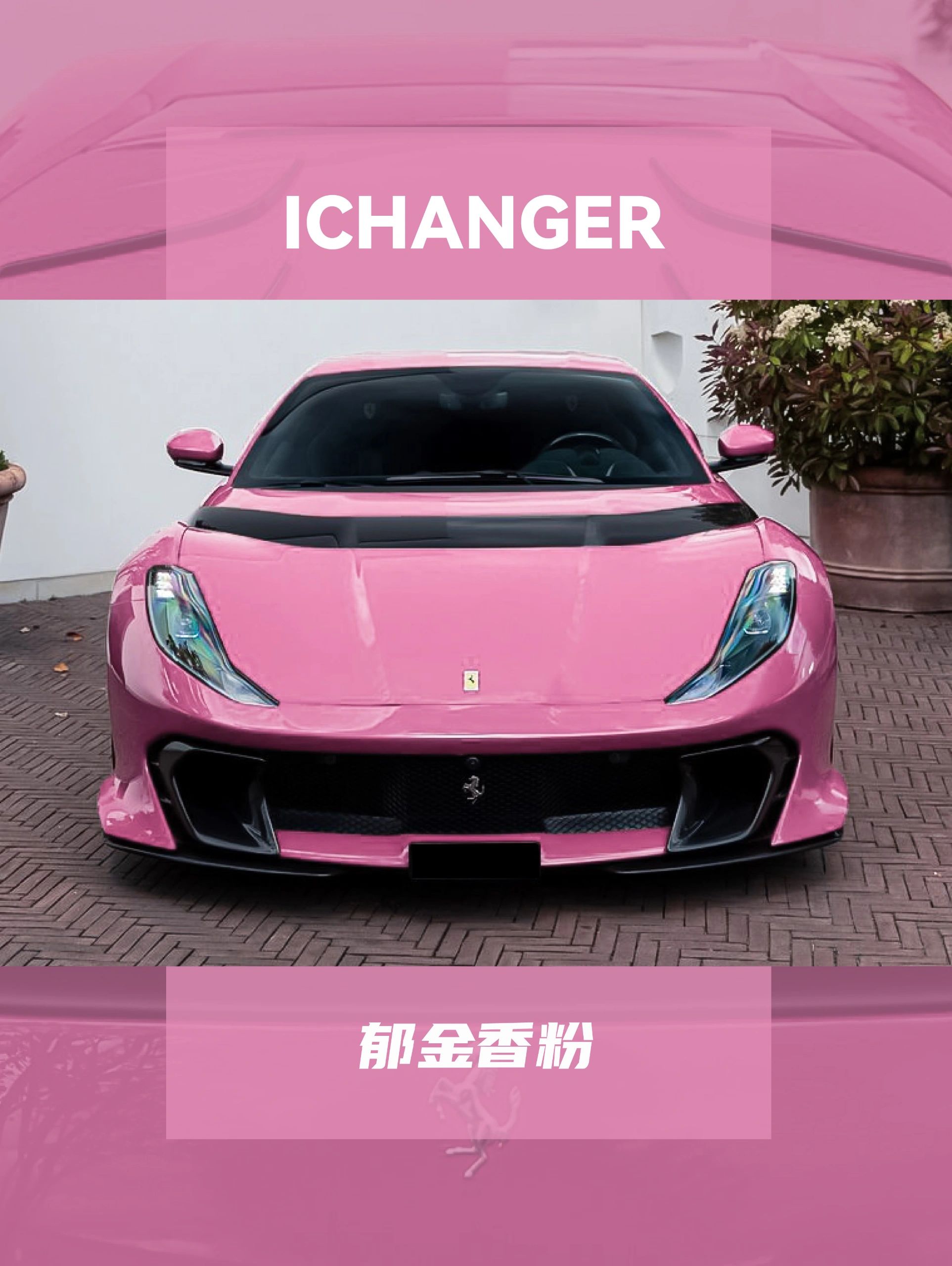 Ferrari Ichanger Color Changing Film Tulip Powder, gentle and sweet style~ - iNEWS