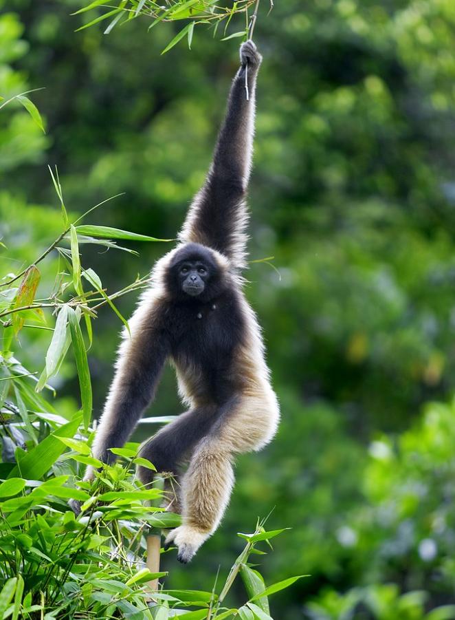 Sometimes in life, you fold a waist for five buckets of rice.The first ...
