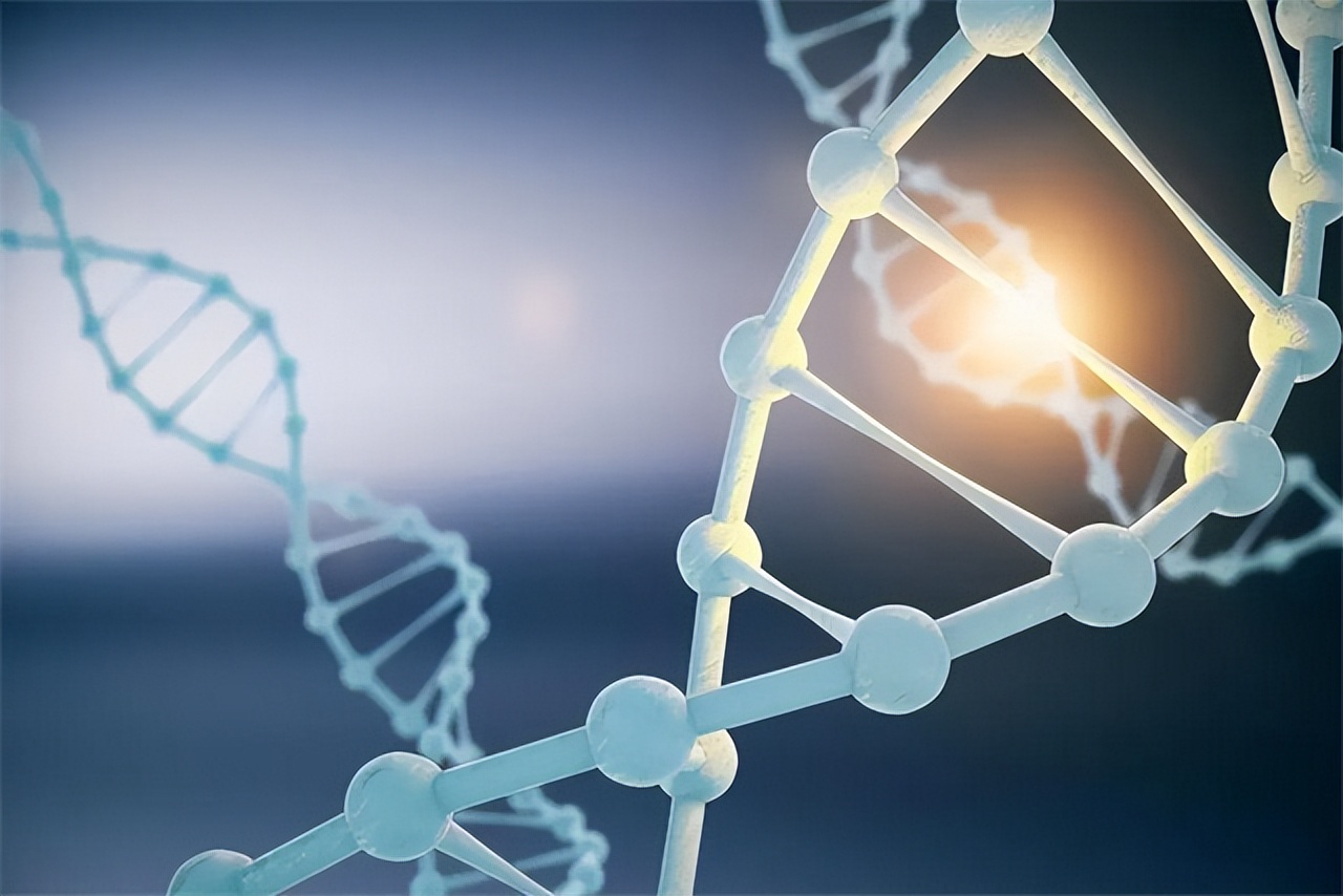 Of the six life forms in the universe, carbon-based life ranks third ...