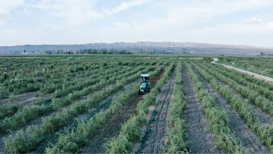 Amway obtained China's first "zero-carbon" protein powder certification ...