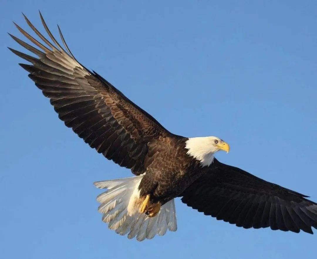 Writer Liu Fengqi's "Ten Songs for Graduation and Gifted to Scholars" Xinxiang Literature and ...