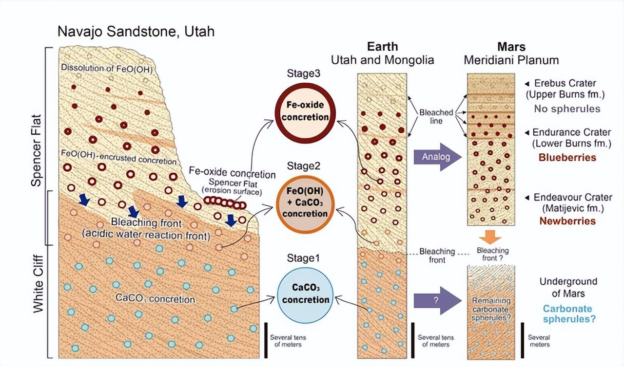 Do aliens really exist?The probe has photographed the "biological ...