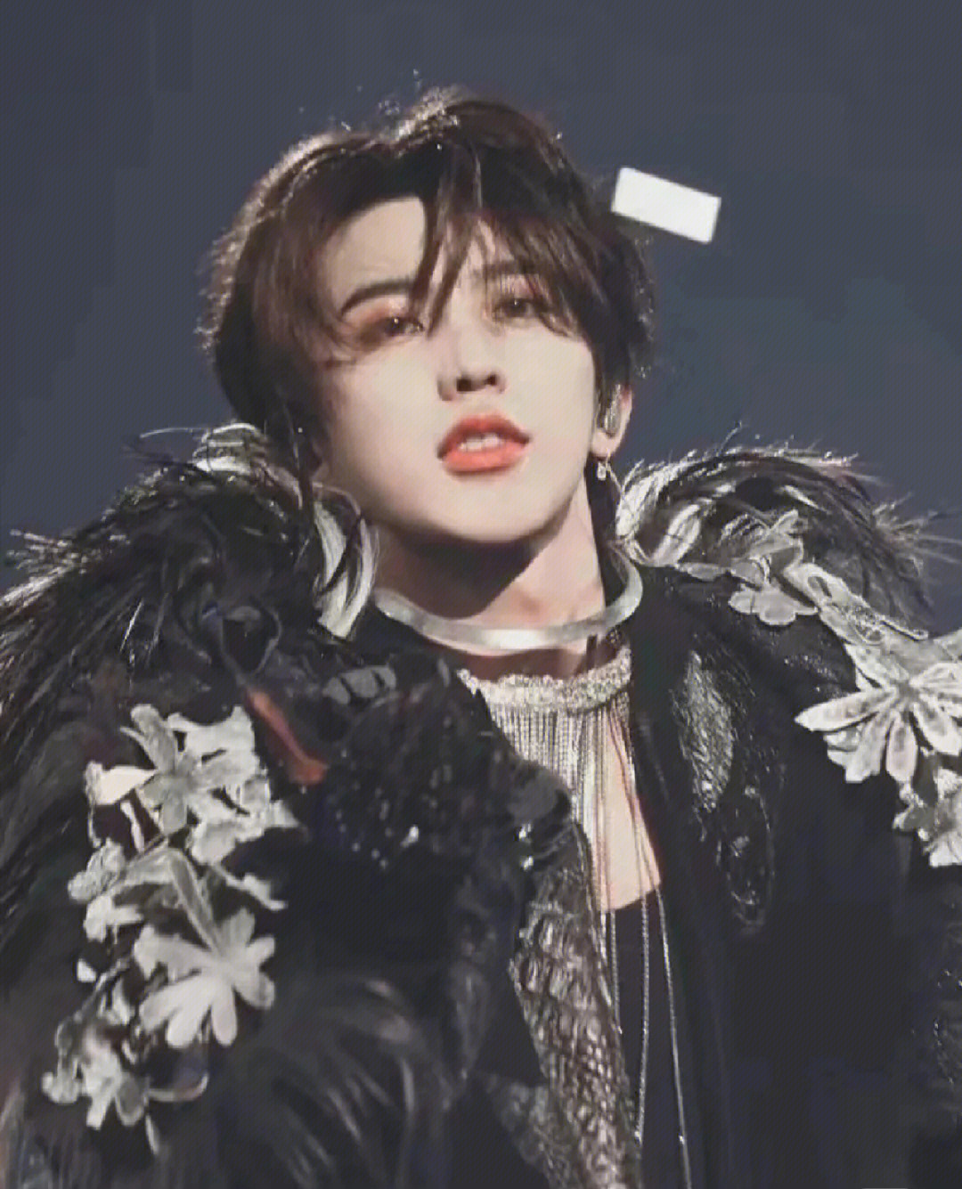 Cai Xukun, Fan Chengcheng, Yu Shuxin, Cheng Yi, Wu Lei, Ju Jingyi, etc ...