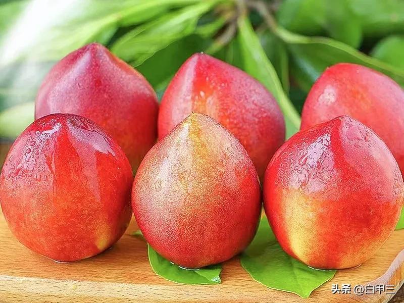 Peach: the choice of fruit that symbolizes sweetness - iNEWS