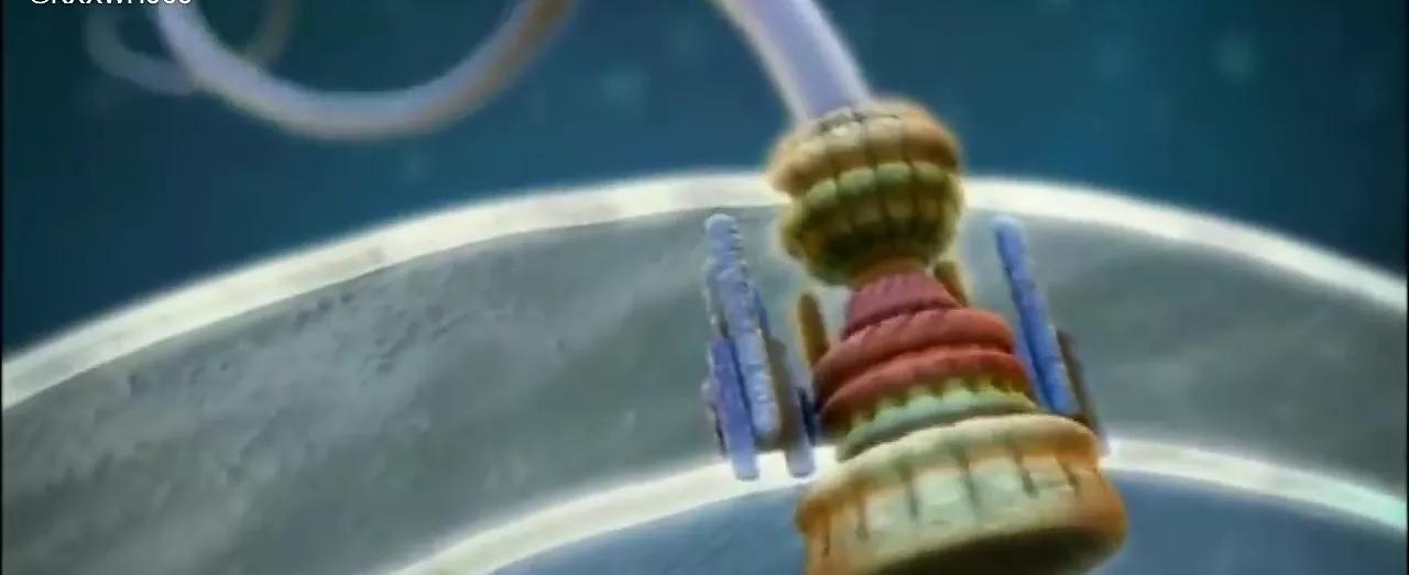 E. coli's super motor, can you believe that this thing really evolved ...