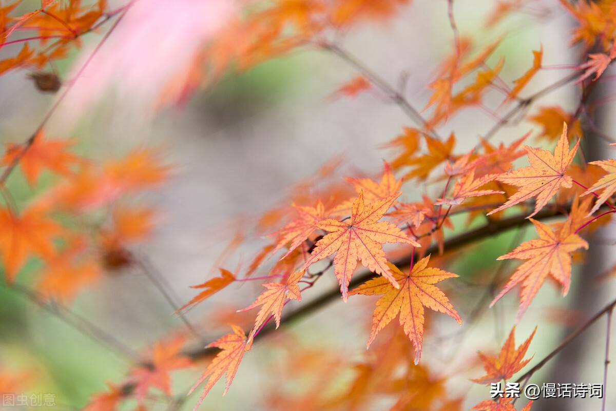 Su Shi's bold and bold poem, the perfect fusion of narrative and ...