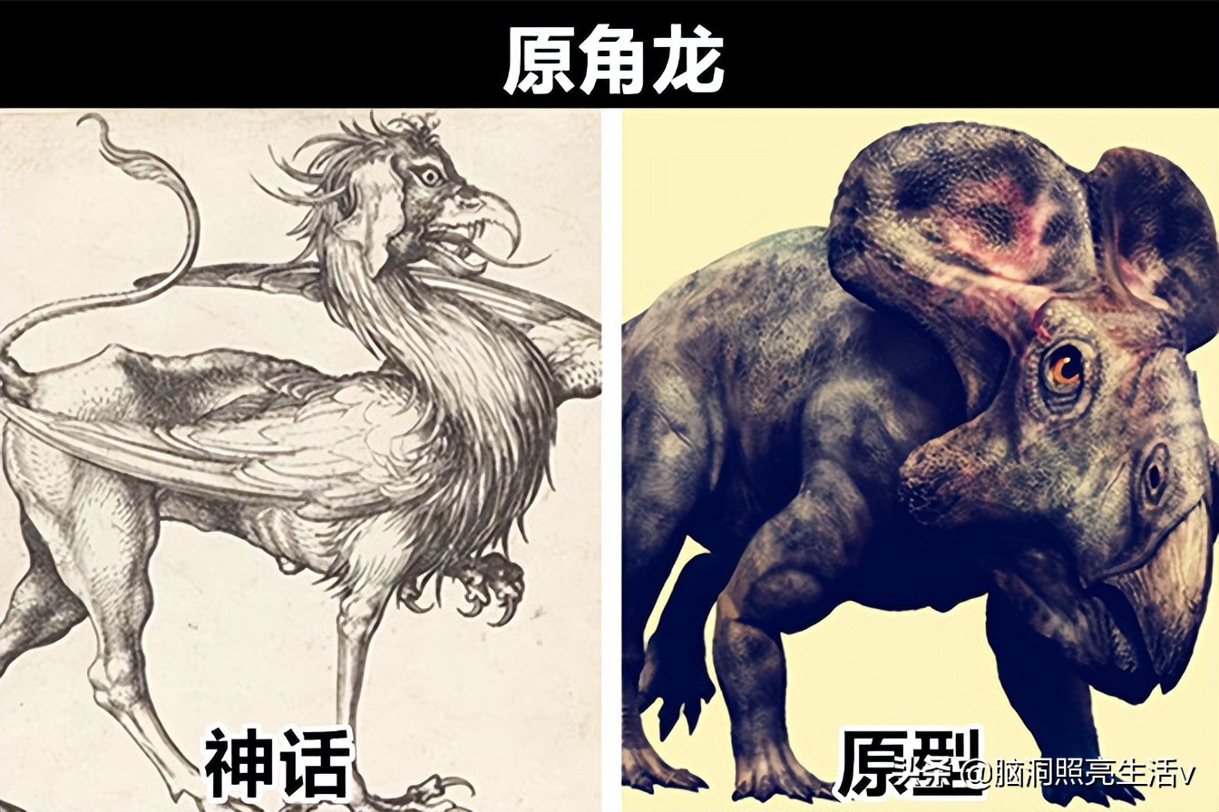 8 Creatures Once Thought to Be Mythical Monsters That Actually Exist ...