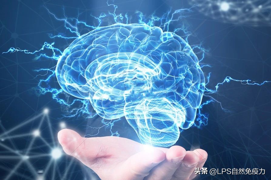 4 strokes to activate the potential of the brain - iNEWS