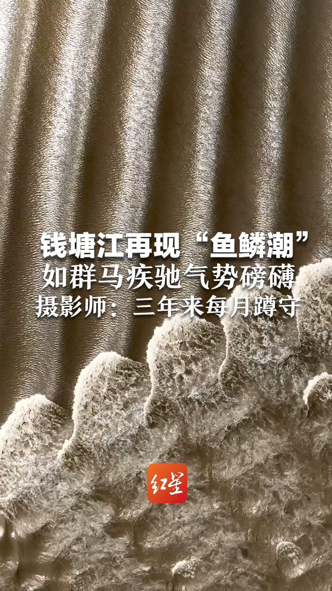 The rare "ripple fish scale tide" in Qiantang River reappears ...