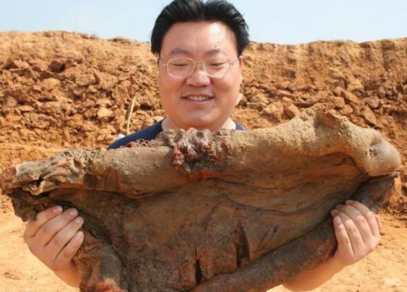 What is Tai Sui, not a plant or an animal, why is this piece of "meat ...