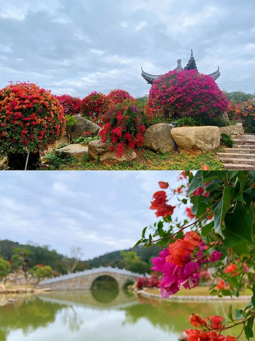 Break into the sea of flowers secret!This new attraction in Guangzhou ...