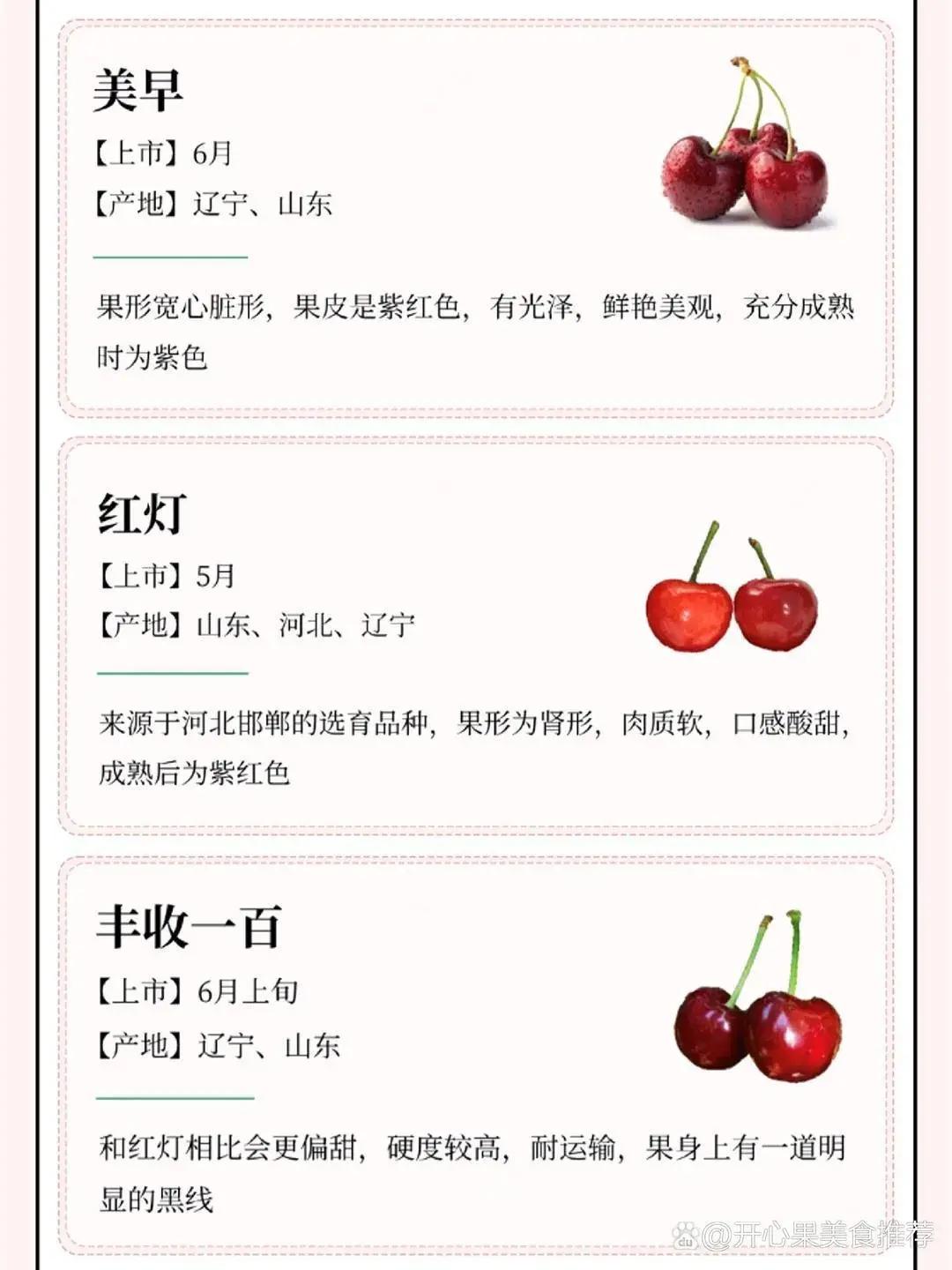 Common cherry types/characteristics/names - iNEWS