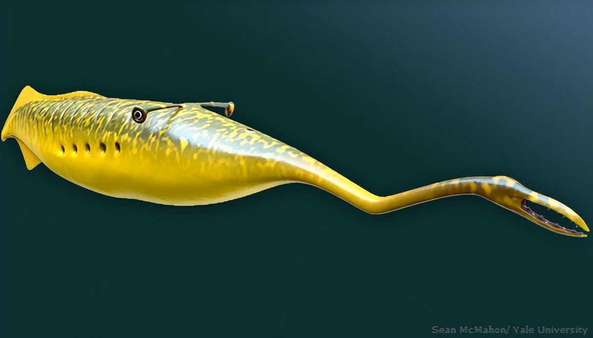 The most evil creature in history - the Tully monster - iNEWS
