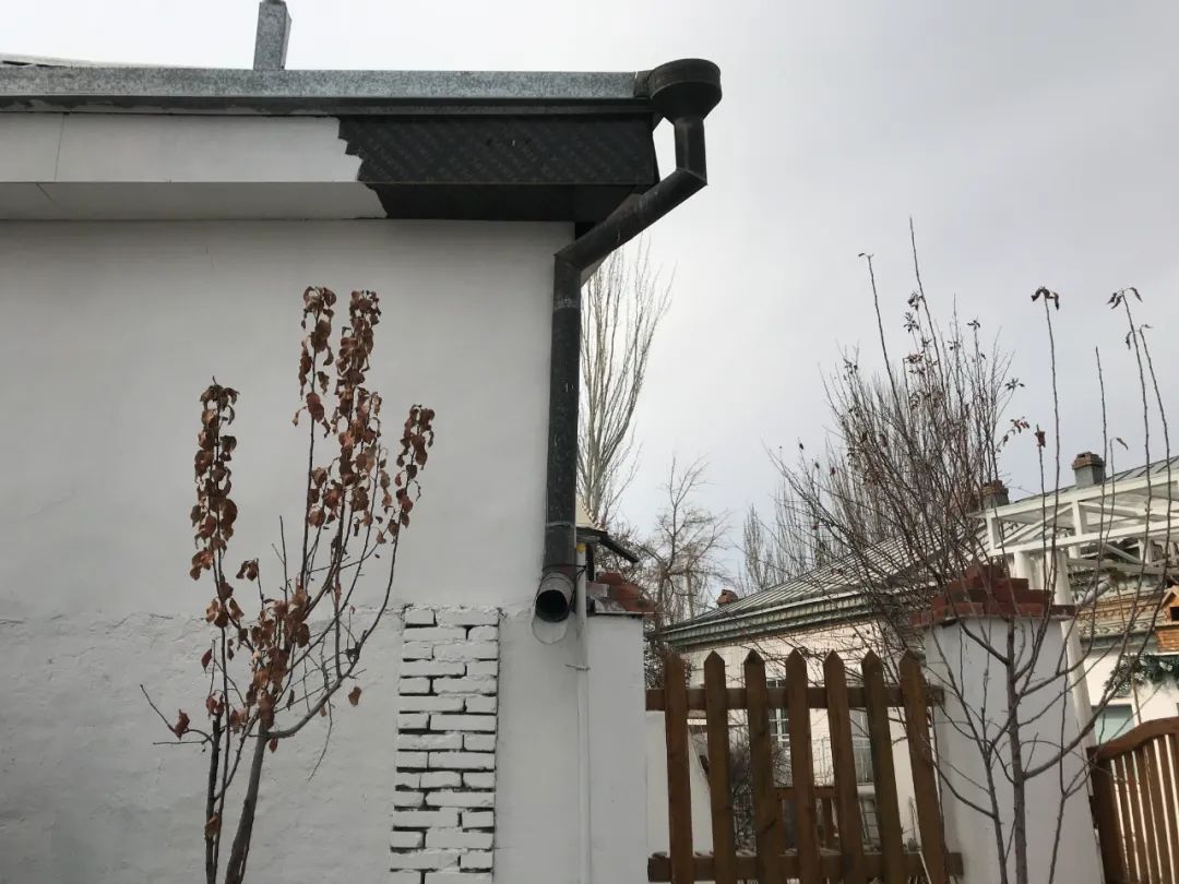 Yoho, Tohurasu - iNEWS