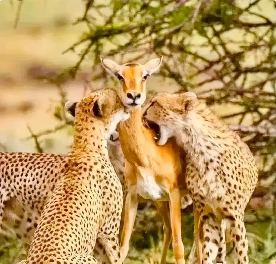 Prosperous times, troubled times! - iNEWS