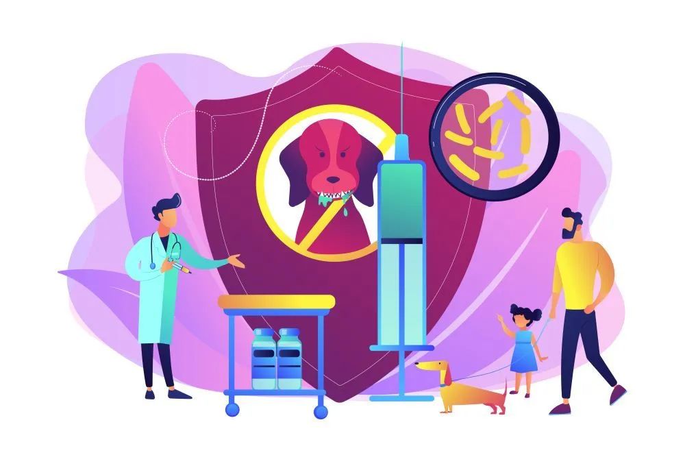 [World Rabies Day] Correct prevention to eliminate panic - quick ...