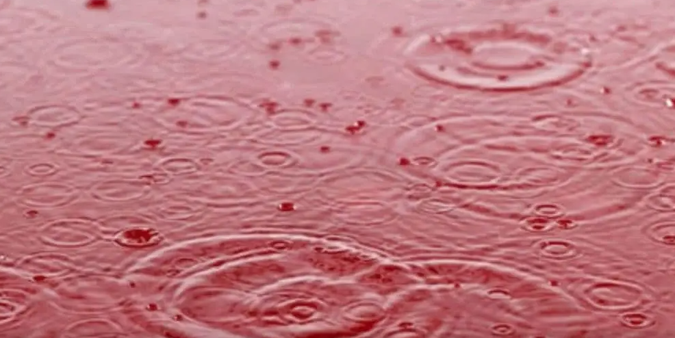 Top 10 Rare Natural Phenomena, Blood Rain, Fire Tornadoes That Kill ...