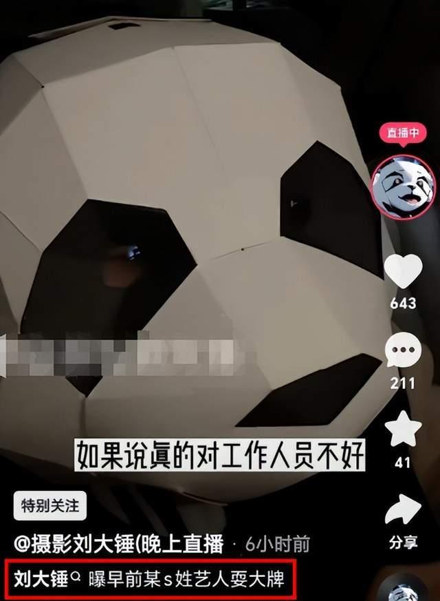 Original Liu Dachui revealed that the actress surnamed S was acting ...