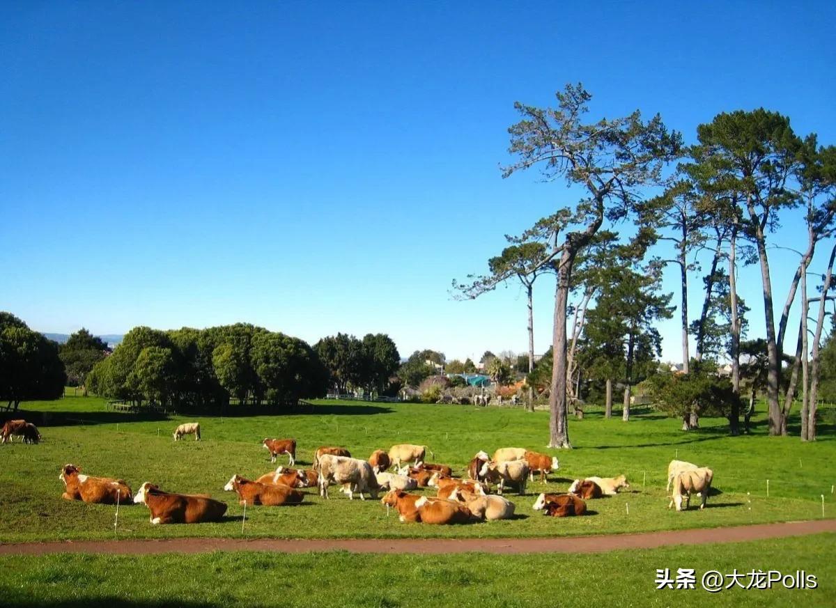 The world's largest economic province was born! GDP is about to exceed ...