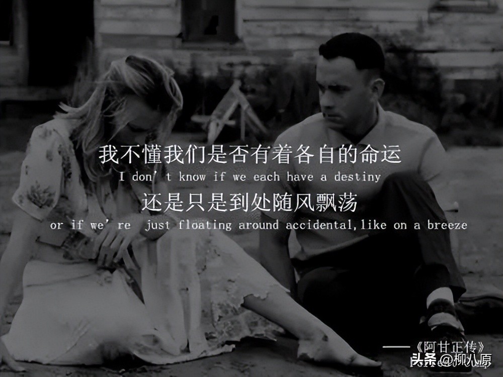 In "Forrest Gump", miracles and destiny are presented, and what kind of ...