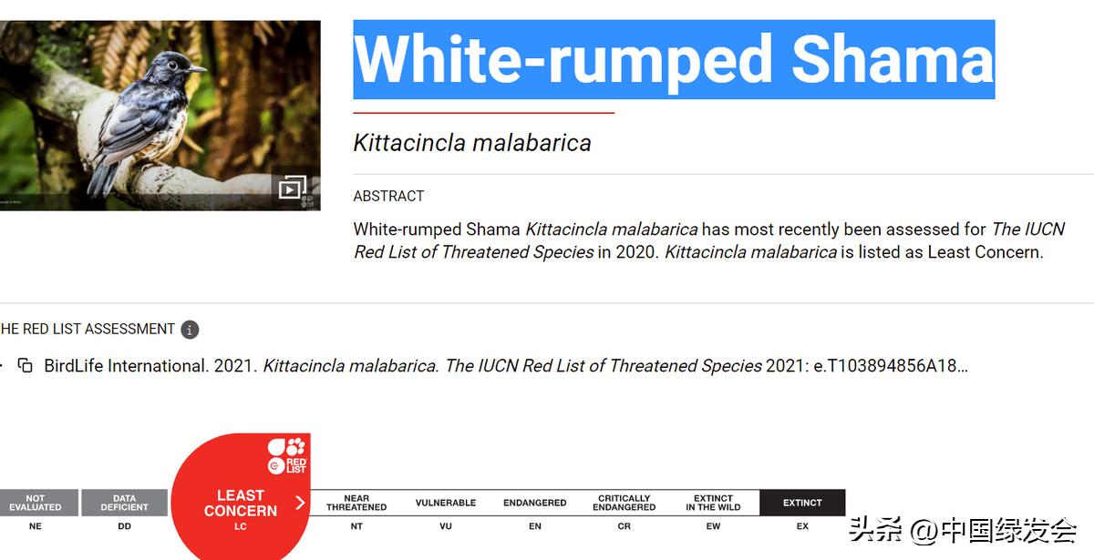 Malaysia & Singapore: Proposed inclusion of the white-rumped magpie ...