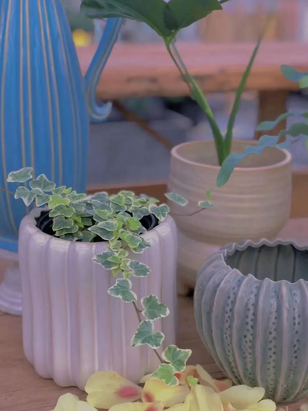 When plants and devices meet, does the device beautify the flower, or ...