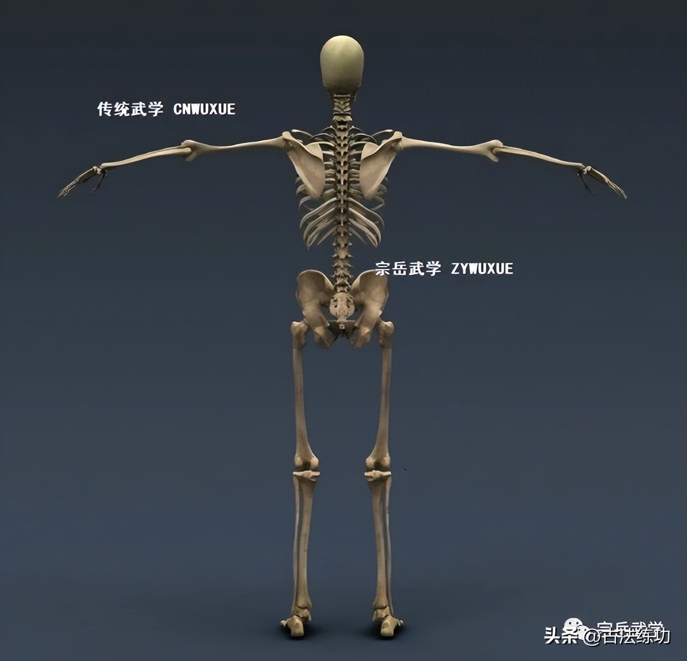 Interpretation of bones and muscles in traditional martial arts - iNEWS