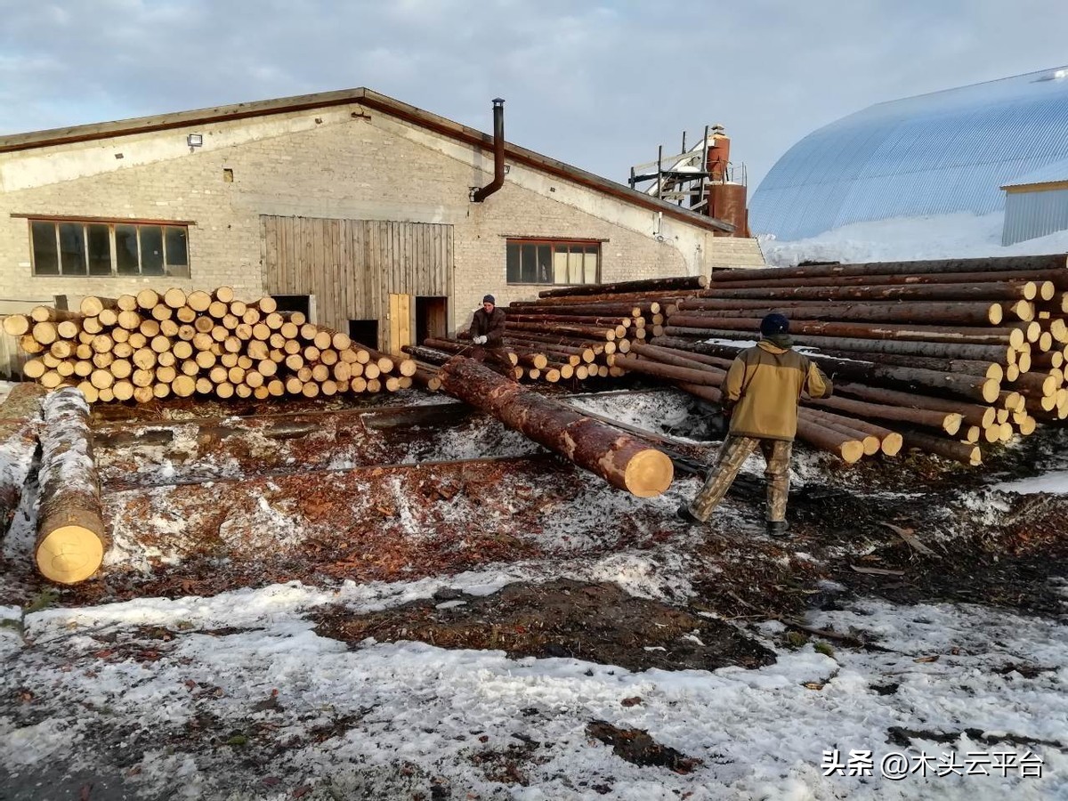 Russian sawn timber exports down 21%, but exports to China up - iNEWS