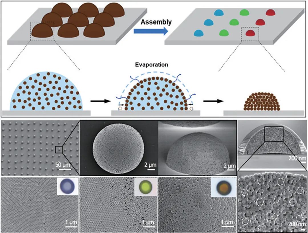 Looking back on the research hotspots of structural color printing in ...