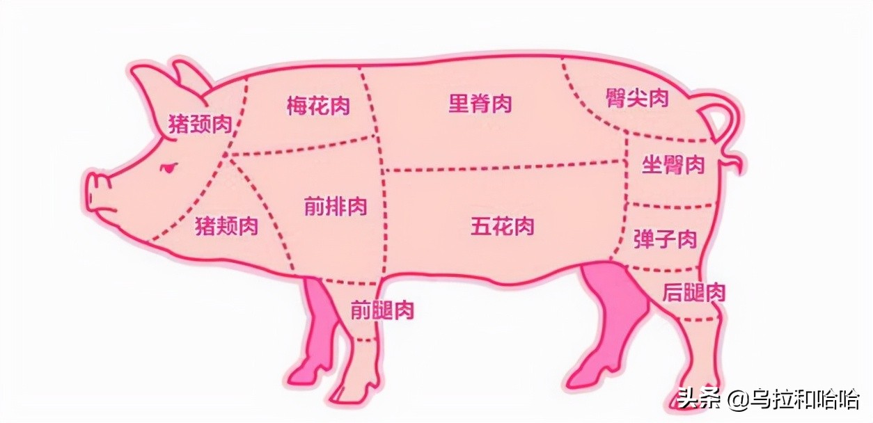 Sichuan cuisine master Peng Ziyu: Chenghua pig is the first choice for ...