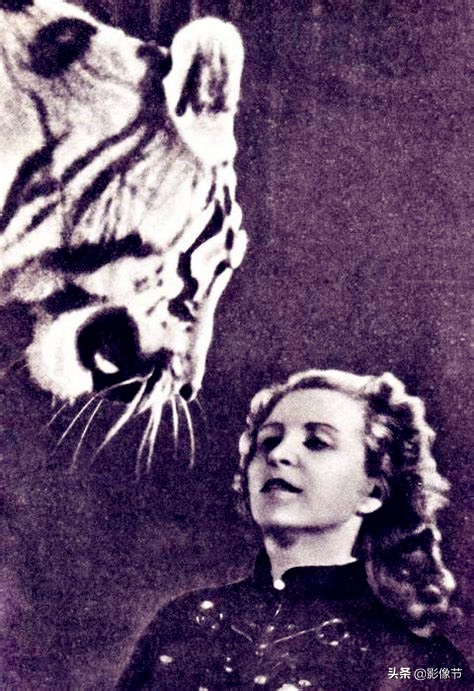 The year of the tiger talks about the tiger, do you still remember the ...