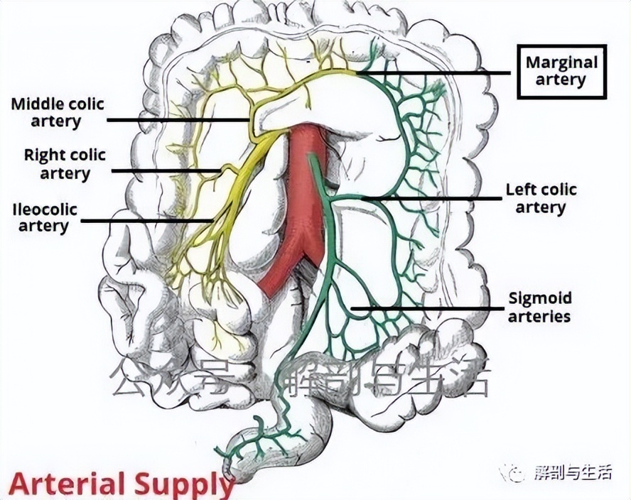 Interventional Literature No. 5 - Solitaire Thrombotic Stent for Acute ...