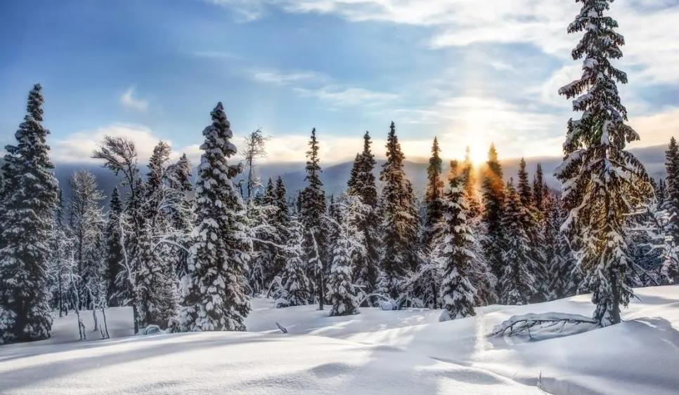 Joint pain, cold and damp into the body, be sure to use it to soak ...