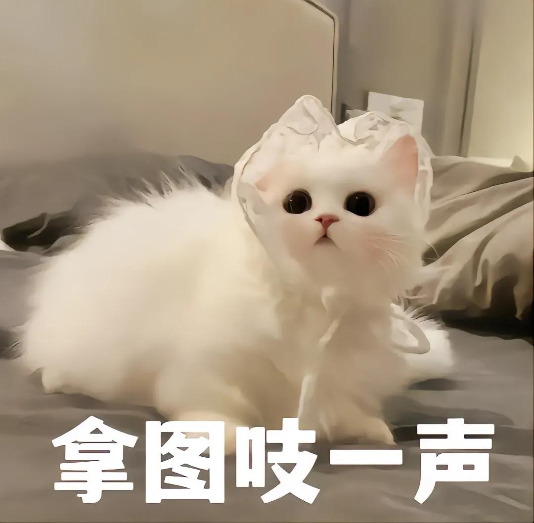 Healing avatar, to be what you imagined - iNEWS