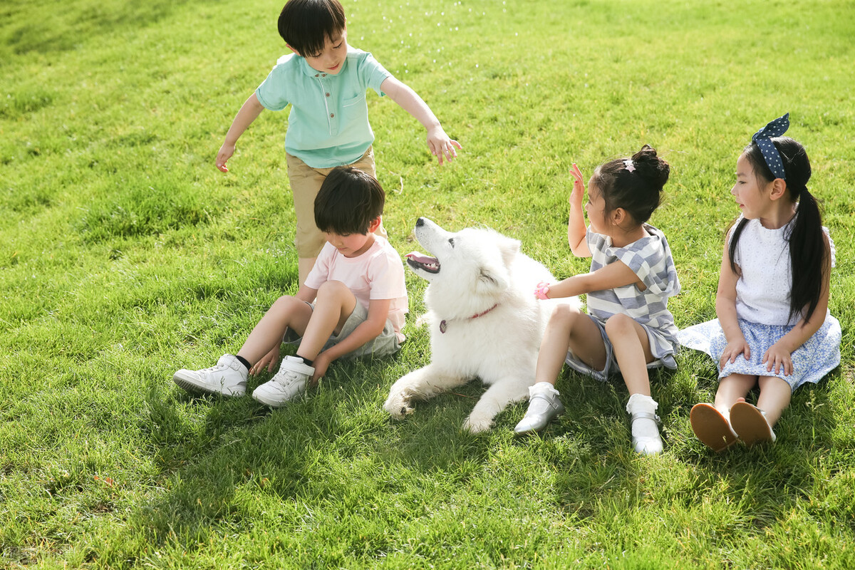 The development process of friendship in early childhood (1 to 5 years ...