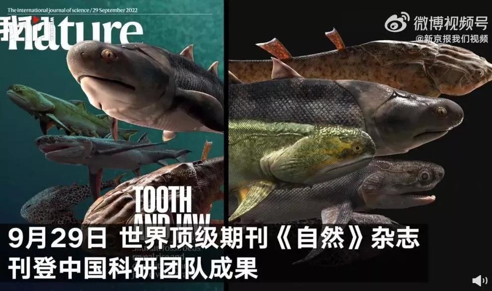 Humans evolved from fish, and scientists led by Zhu Min, an academician ...