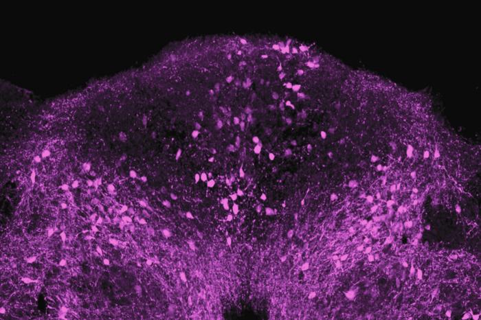 When you are sick, "rotten" is actually to save your life, "Nature ...