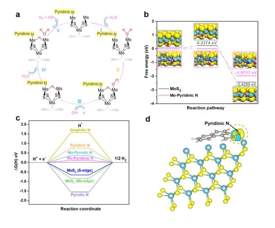 Trinuclear Copper Biocatalytic Center Forming the Active Site of ...