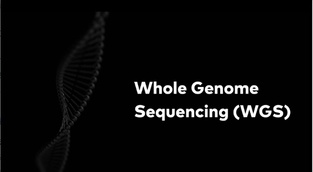 Whole Genome Sequencing Analysis - iNEWS