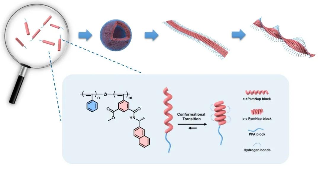 Peking University has made new progress in the field of helical ...