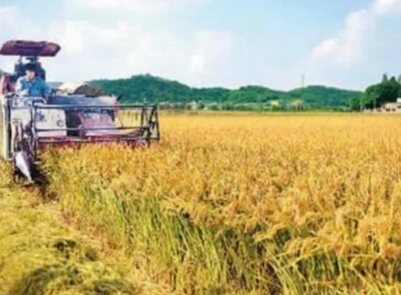 Original Jin Rong Poems: Autumn in the Mountain Village (outside four ...