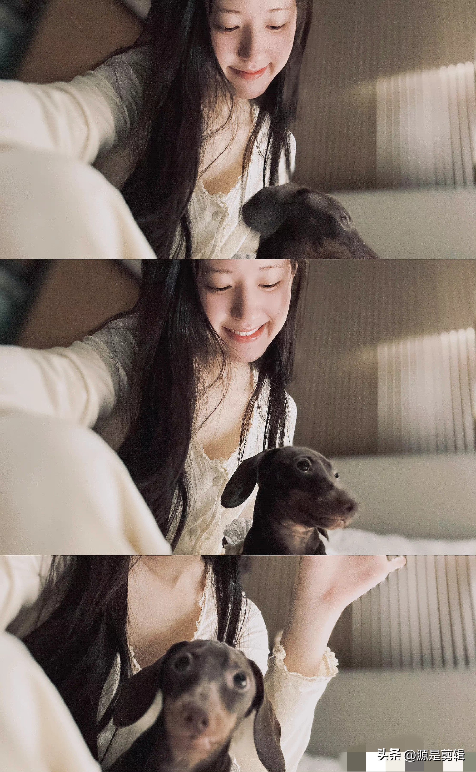 Appreciation of pure and beautiful photos of Zhao Lusi walking the dog ...