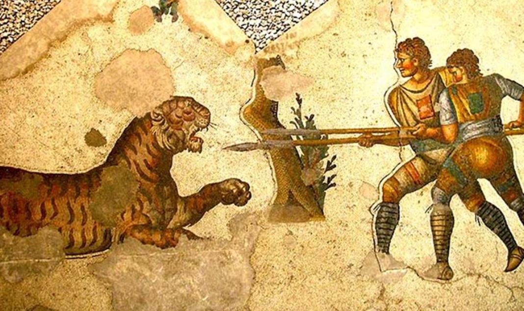 What impact did the gladiator culture in the Colosseum have on society ...