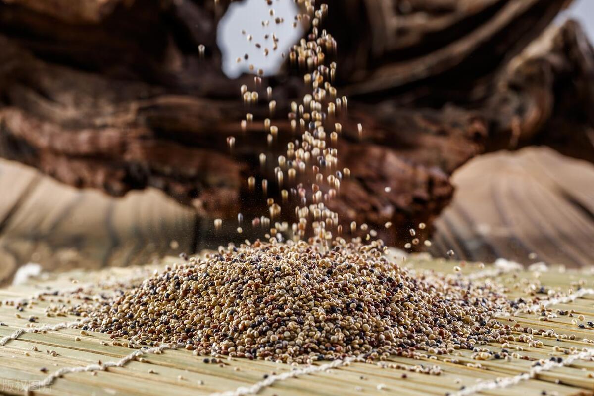 Are grains the same as whole grains? What are the differences between ...